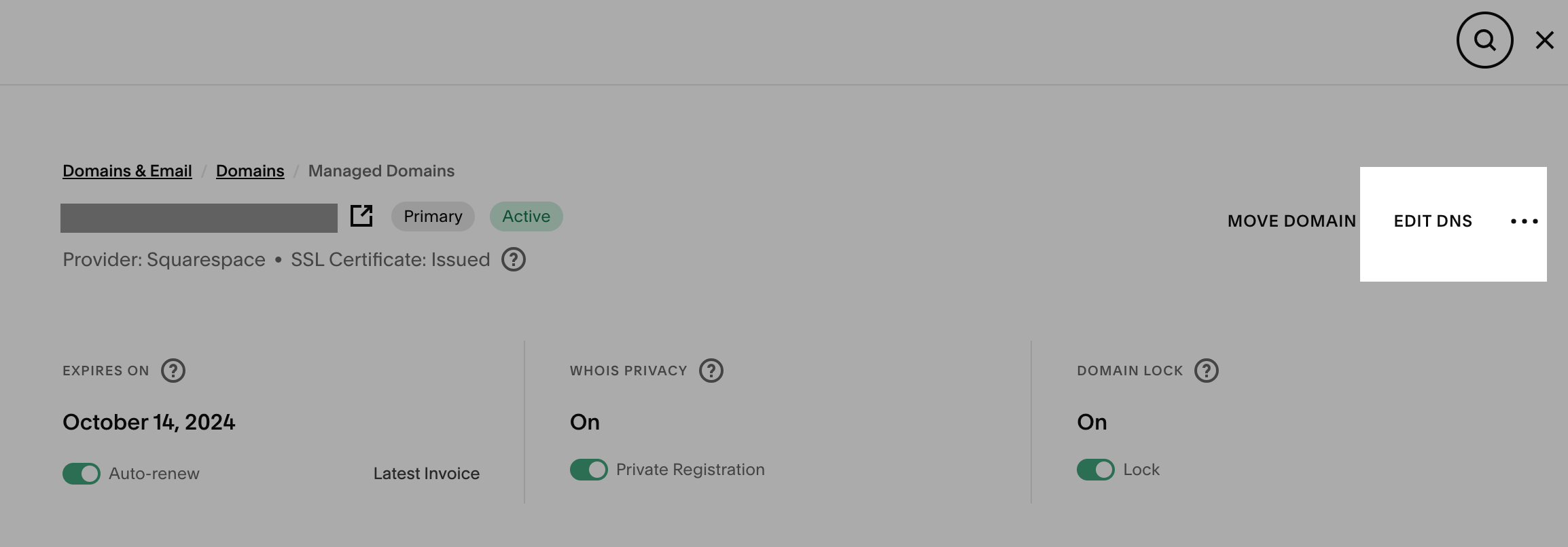Connecting Squarespace domain to Instant Site – Ecwid Help Center