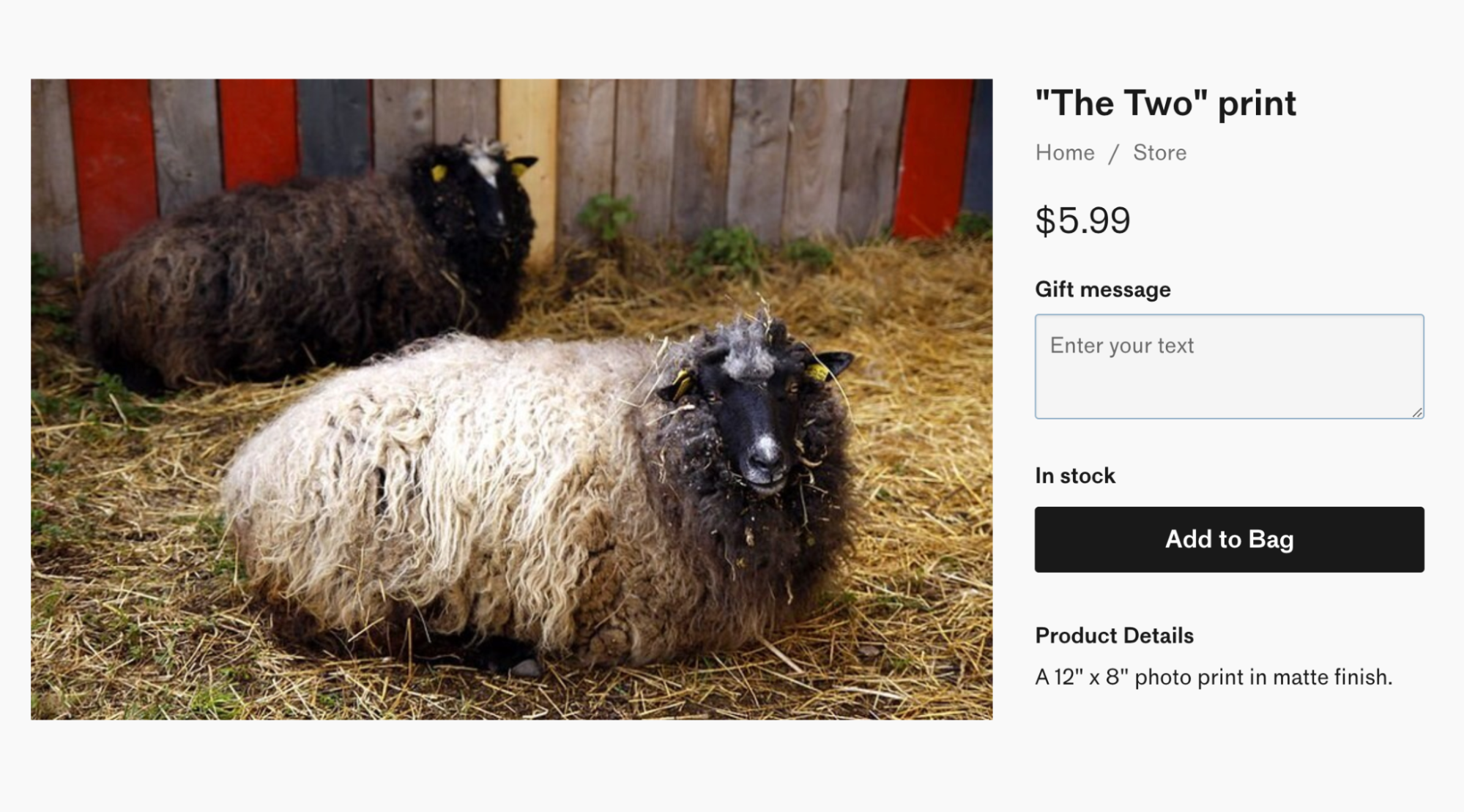 Adding text input fields, calendar, or file uploader to product pages – Ecwid Help Center
