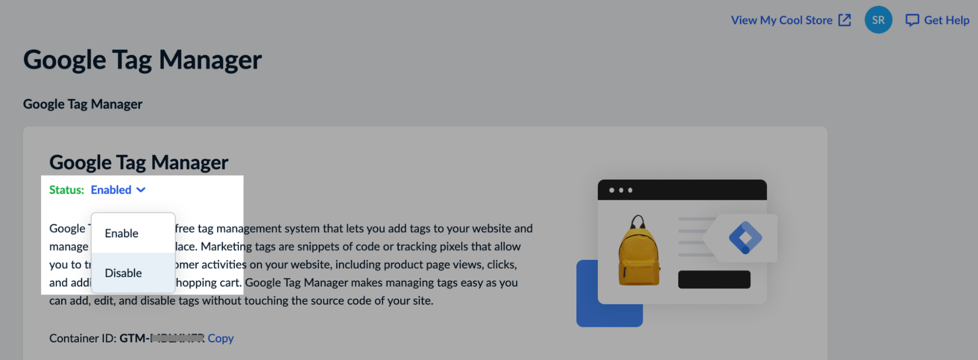 Adding Google Tag Manager to your Ecwid site and store – Ecwid Help Center